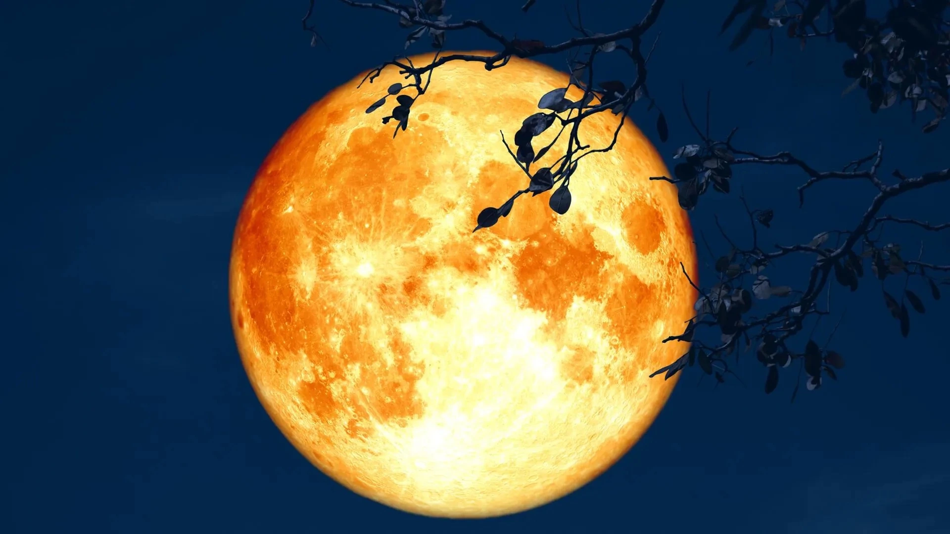La Buck Moon du 10 juillet 2025 sera la pleine lune la plus basse et la plus dorée de l’année ...